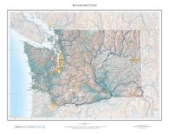 Washington Elevation Tints Map | Fine Art Print Map